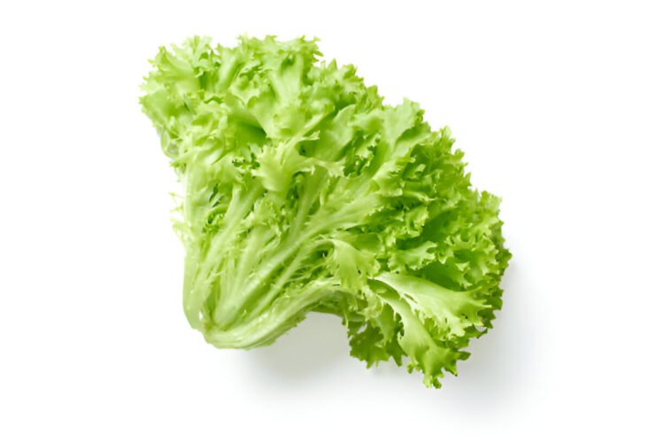 Can Lettuce Be Left Out Overnight? Food Safety Facts You Should Know ...